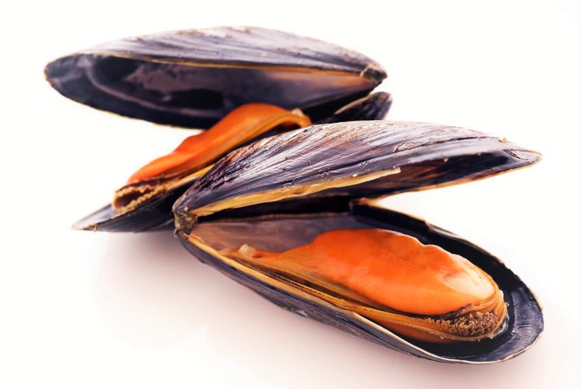 Sagra della Cozza di San Priamo, ecco l'evento del 15 Luglio 2017 ...